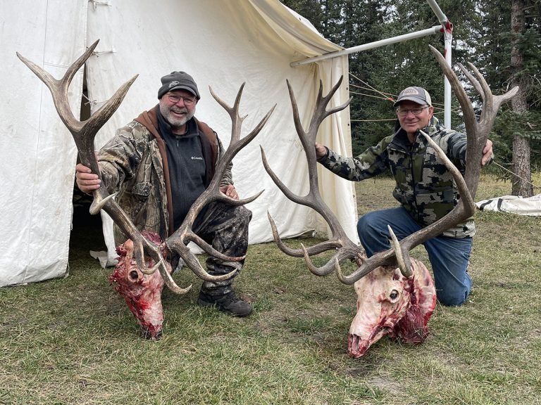 CANADA ELK HUNTS Horseback elk hunting in Alberta Canada – North Star ...